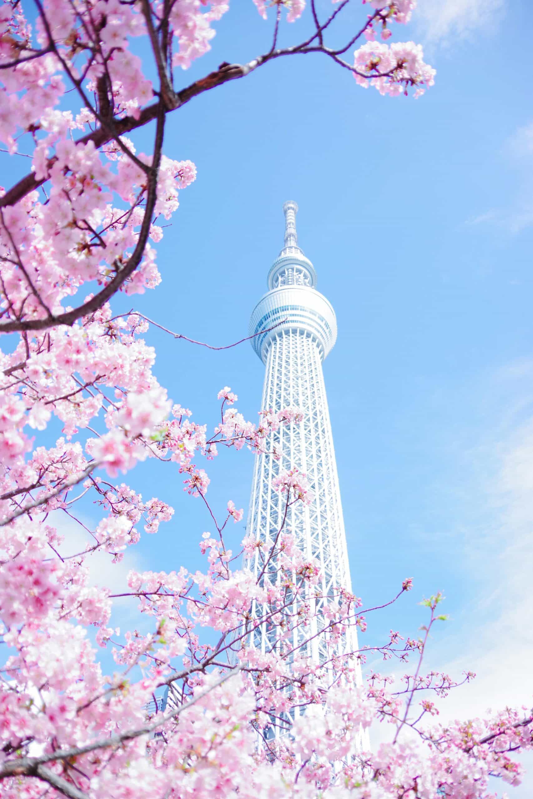 Tokyo Skytree: Saiba Tudo Sobre a Torre mais Alta do Mundo